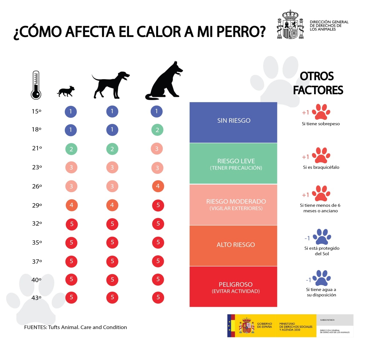 Recuerda a tus clientes cómo afecta el calor a los perros