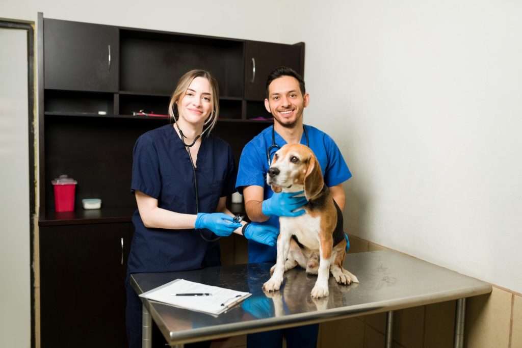 ¿Qué os hace felices a los profesionales veterinarios? – Parte II