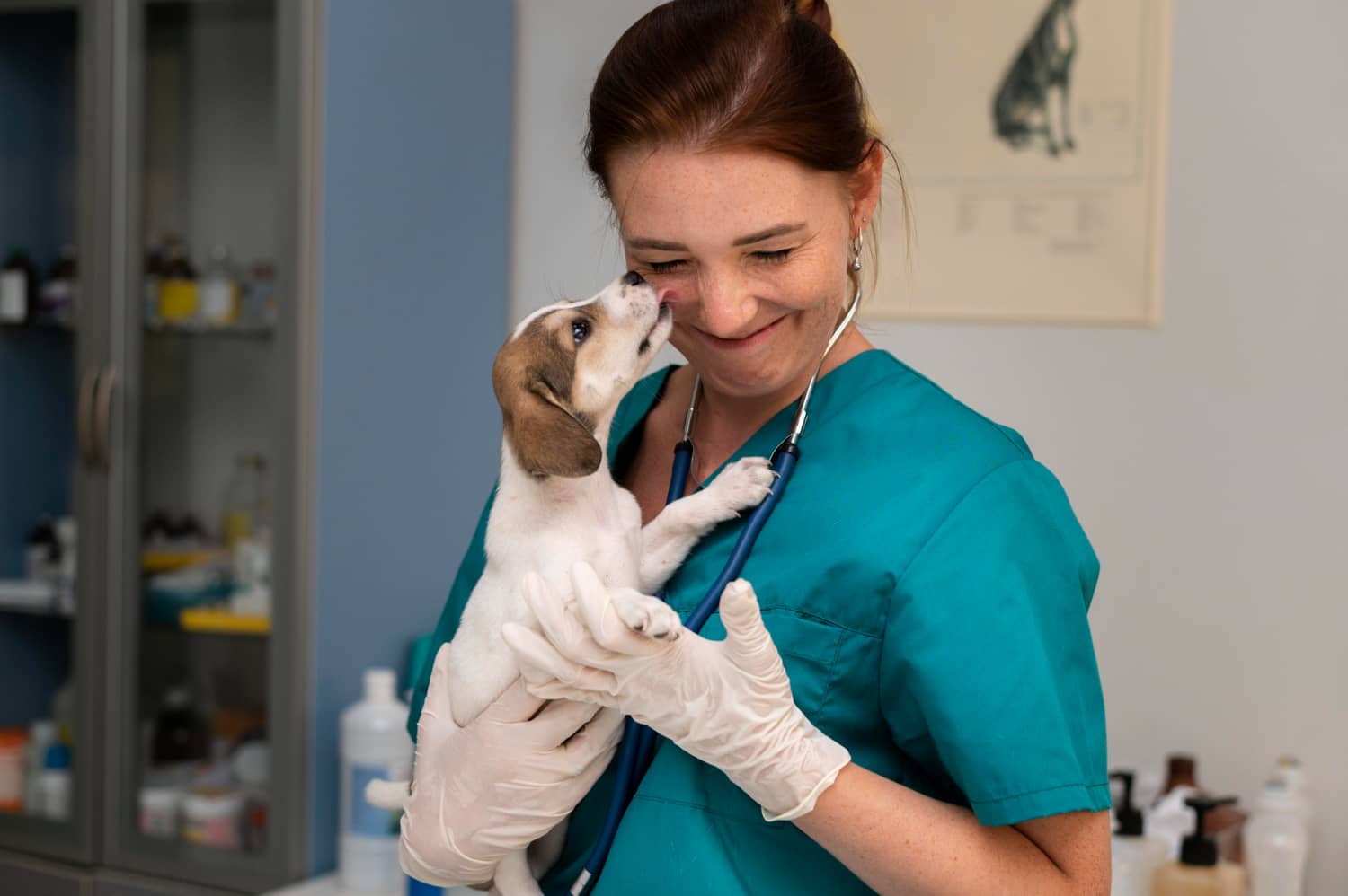 Las 5 motivaciones del cliente en veterinaria